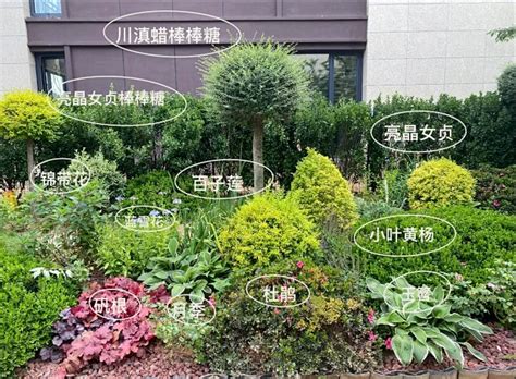 北方地区低维护免打理花境配置