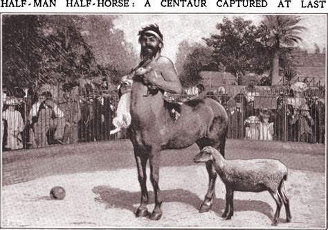 Half Human Half Horse