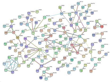 Protein Protein Interaction Ppi Network Analysis Of Deps In The