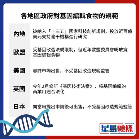 精准修改植物基因，基因编辑快速育种增产量，港缺科研资源难开发 星岛环球网