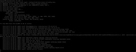 Error Connecting To Consul Agent Stack Overflow
