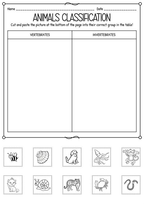 Vertebrates And Invertebrates Animals Worksheet Artofit