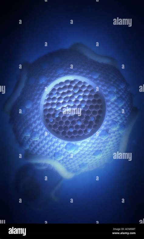 High Density Lipoproteins Stock Photo Alamy