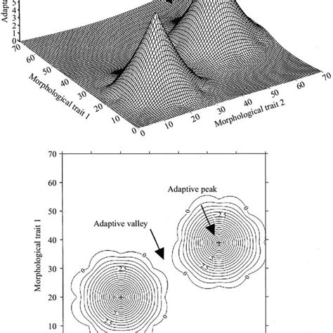 1 A Hypothetical Adaptive Landscape Portrayed As A Three Dimensional