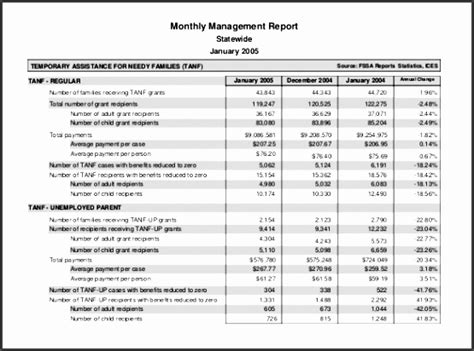 6 Monthly Report Format Template Easy To Customize Sampletemplatess