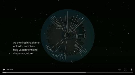 Recently Updated The Best Shopify Parallax Examples To Give You Inspiration