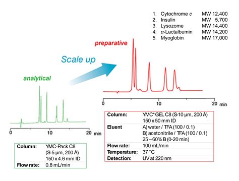 Dynamic Axial Compression Columns DACs YMC America