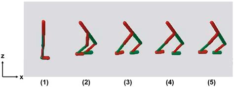 Realization Of A Human Like Gait For A Bipedal Robot Based On Gait Analysis