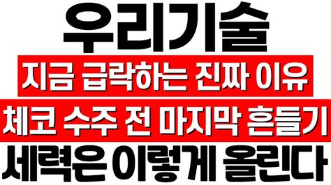우리기술 주가 전망 급락이 나오는 진짜 이유 체코 수주 확정 전 마지막 흔들기 매도 금지 우리기술 주식 분석 우리기술 목표가 우리기술 원전 관련주 우리기술