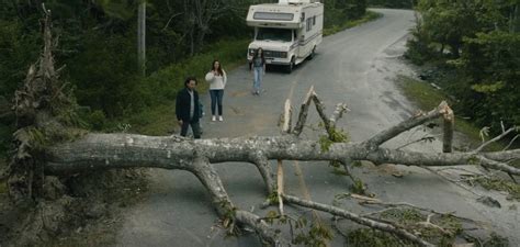 Fallen Tree From Wiki Fandom