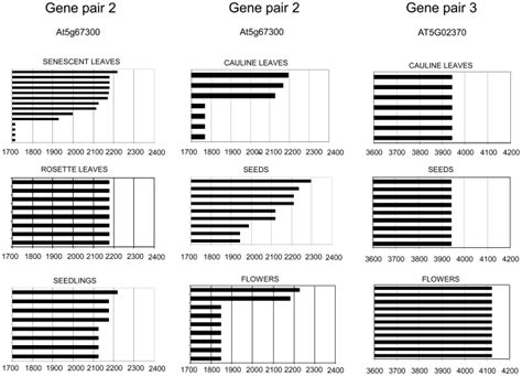 Individual Bars Represent Individual Cloned Polya Transcripts From Download Scientific