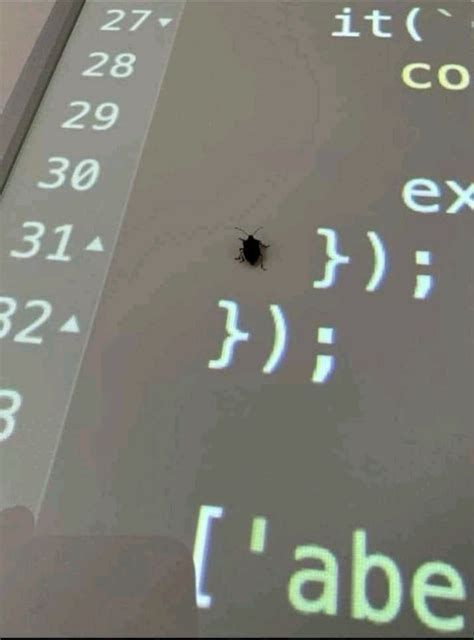munisa r on linkedin bug in 31 line 🐞😁