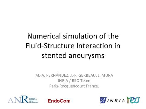 Numerical Simulation Of The Fluidstructure Interaction In Stented