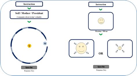 前额叶皮层和颞顶交界处在人际舒适度和情绪处理中的作用 Scientific Reports X Mol