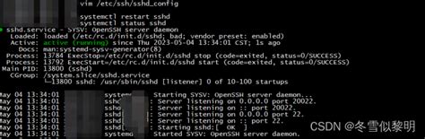 重启sshd报错 Error Bind To Port 22 On 0000 Failed Address Already In Use问题 Csdn博客