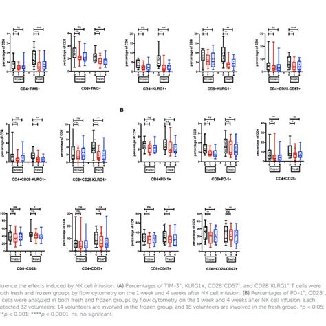 Restored Endothelial Cell Function In E2f2 Overexpressed Huvecs Download Scientific Diagram