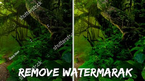Remove Background Or Add Text Logo Watermark Professionally By Sagar K Mishra Fiverr