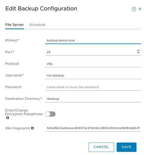 Setting Up NSX T Backup Rutgerblom Com