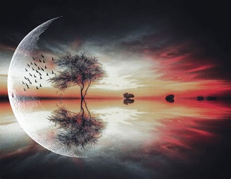 Moon Tree Wallpapers Wallpaper Cave