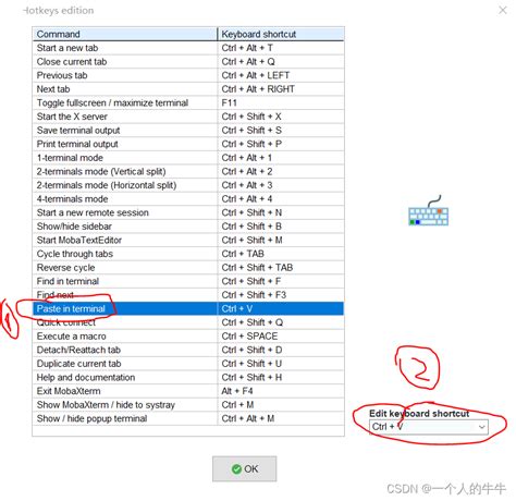Mobaxtermportable的快速复制粘贴mobaxterm Portable Csdn博客 Mobaxtermportable的快速复制粘贴mobaxterm Portable Csdn博客