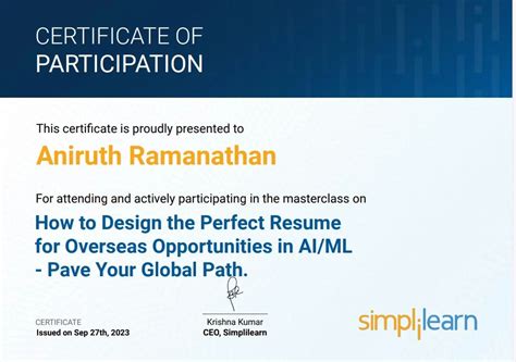 I Participated In A Professional Webinar Focused On Crafting Resumes