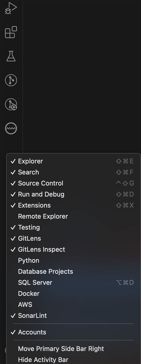 Chat View Is Not Visible · Issue 343 · Microsoftvscode Copilot