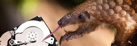 Ars Walkthrough Using The Zfs Next Gen Filesystem On Linux Rfilesystems