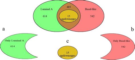 Expression Patterns Of The Differentially Expressed Genes In Luminal A Download Scientific