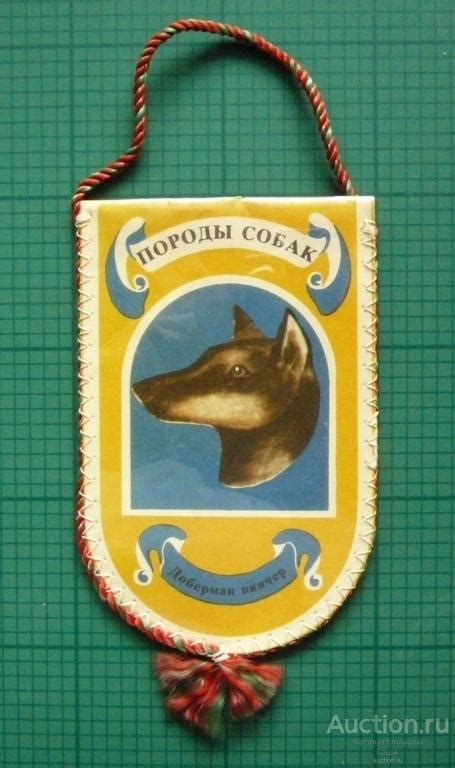 Вымпел Породы собак Доберман пинчер СССР 15х9 7см состояние отличное 62 — покупайте