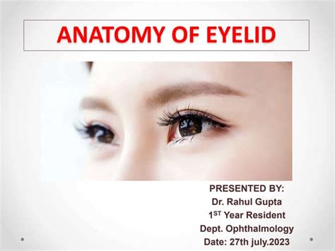 Anatomy Of Eyelid Introduction To Orbit Ppt