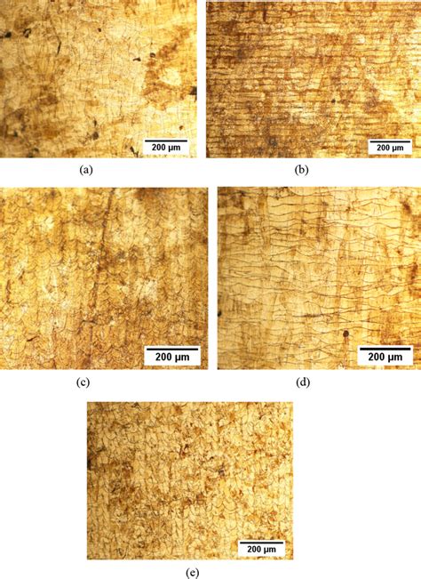 A E Optical Micrograph Of All Five Samples With Unidirectional Scan Download Scientific