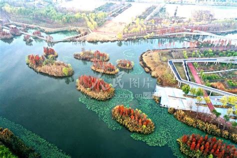 安徽亳州：冬日陵西湖风景美如画 人民图片网