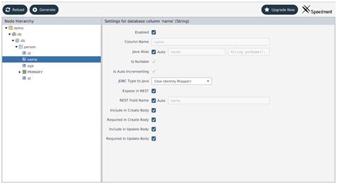 Javaspring How To Generate An Entire Database Crud Rest Api With