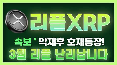 리플 속보 Xrp 악재후 호재등장 3월 리플은 난리 납니다 Youtube