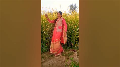 पूर्व देव पक्षी इमेज Love Song Youtube