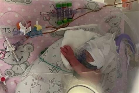 7남매 엄마 1명 더 낳으려다 5쌍둥이 출산…축구팀 만들고도 남네 파이낸셜뉴스