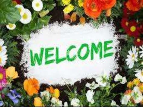 Fetal Skull Discussion 1pdf