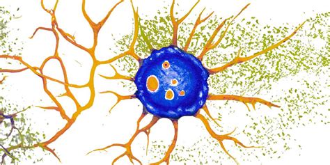 Cellsonics Inc On Linkedin Enhanced Mouse Brain Cell Surface