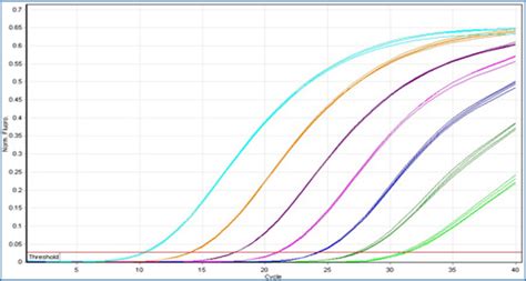 A Whole Transcriptome Approach To Evaluating Reference Genes For