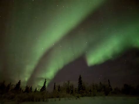 4박 5일 오로라 투어 페어뱅크스 출발 시티 투어 And 체나 온천 알래스카 Kkday