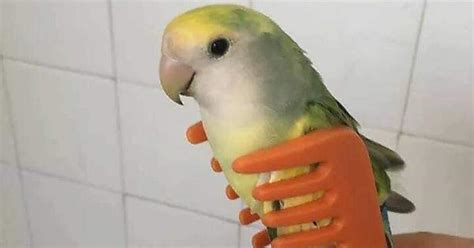 Dump For Drew 622 Album On Imgur