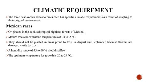 Avocado Cultivation Practices Pptx