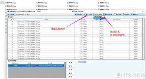 【全自动改名】如何批量ocr识别图片指定区域范围内容修改图片名
