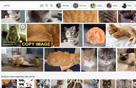 Paste Image In Paint Mode BlenderNation