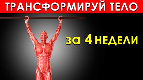 7 Простых Упражнений с Собственным Весом Которые Трансформируют Ваше Тело за 4 Недели Youtube