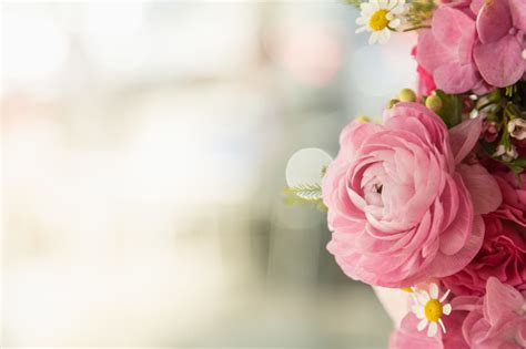 아름다운 핑크 장미와 햇빛 아래 많은 꽃다발을 닫고 공간을 복사하십시오 자연 벽지 및 배경으로 사용 0명에 대한 스톡 사진 및 기타 이미지 Istock