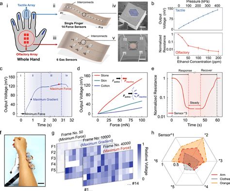 Characterization Of Tactile And Olfactory Sensing Array A The Design Of Download Scientific