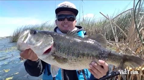 Go Back To 2017 A 9 Pounder At The Ca Delta Whiskey Slough On Sweet