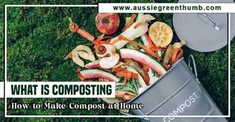 How To Compost And Use Sheep Manure In The Garden AGT