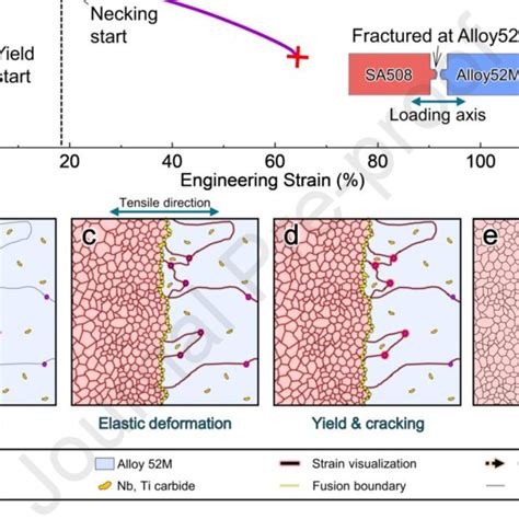 Phase Fraction Analysis Results A Gos Map B Iq Map C Ferrite